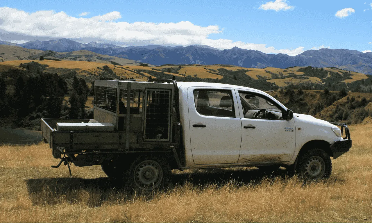 Government Must Urgently Rule Out Ute Tax 2.0