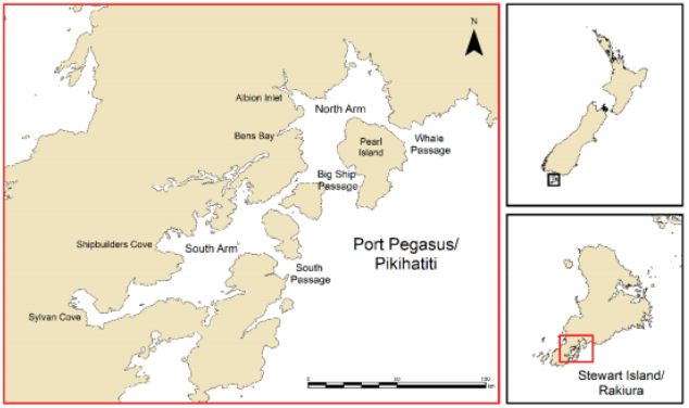 Study Determines Port Pegasus Feasible But Presents Challenges For ...