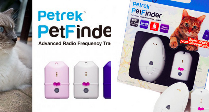 Petsmart.NZ Pet News -What Does Your Cat Do At Night?