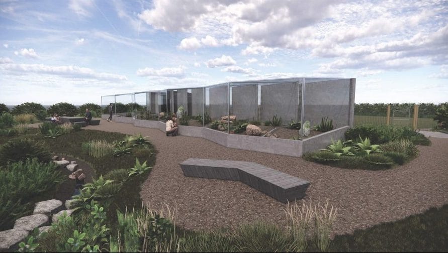 Invercargill City Council Unveils Concept Designs for Tuatara Home in ...