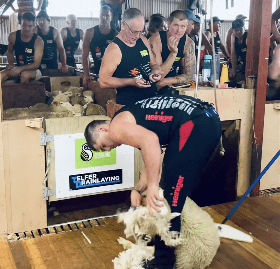 Forde Winders Shearing Crew Shatters World Lamb Shearing Record in ...